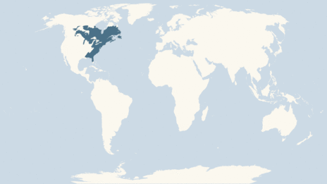 Map showing the distribution of the Star-nosed mole taxa