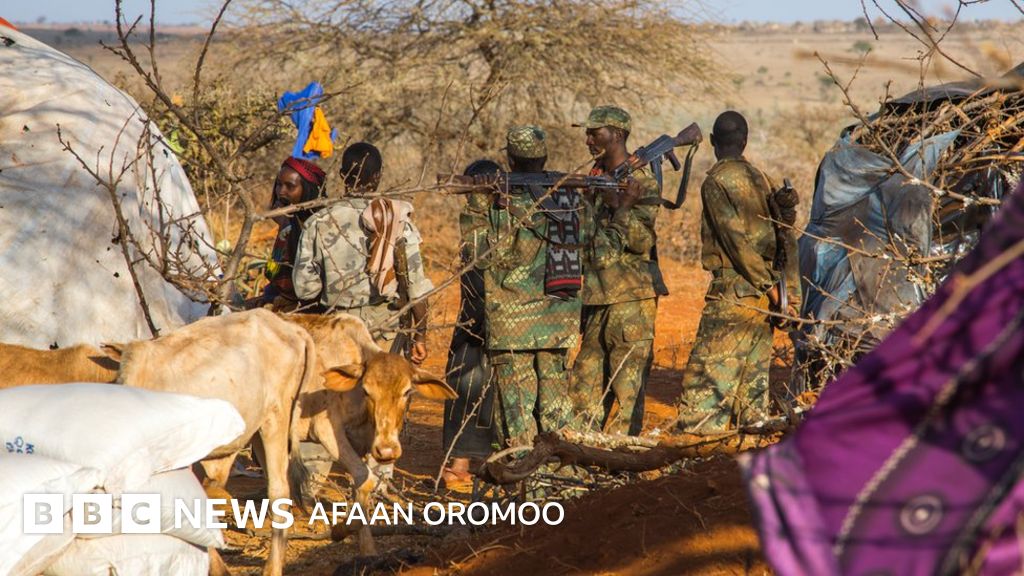 Harargee Bahaa: ''Haadha warraafi ilmoo kiyya na biratti ajjeesani ...
