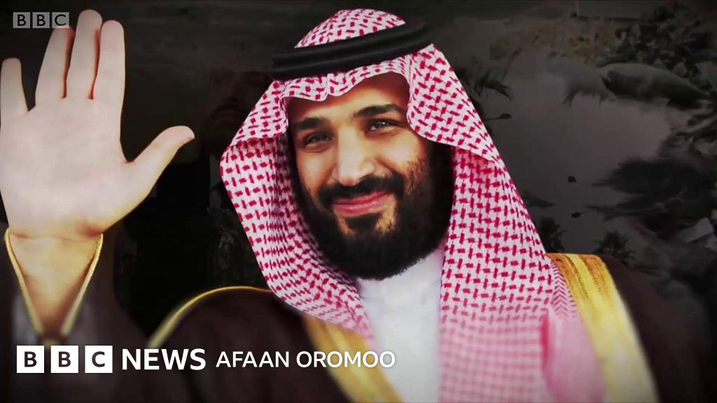 Sa'uudi Arabiyaa keessatti maltu ta'aa jira - BBC News Afaan Oromoo