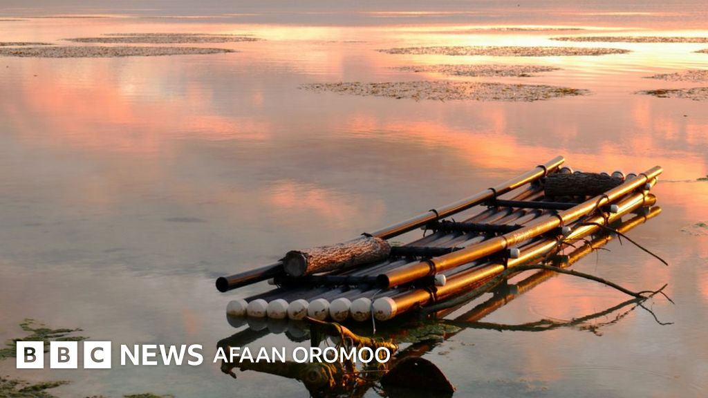 Sammuu kee qori - Hiibboo 3 - BBC News Afaan Oromoo