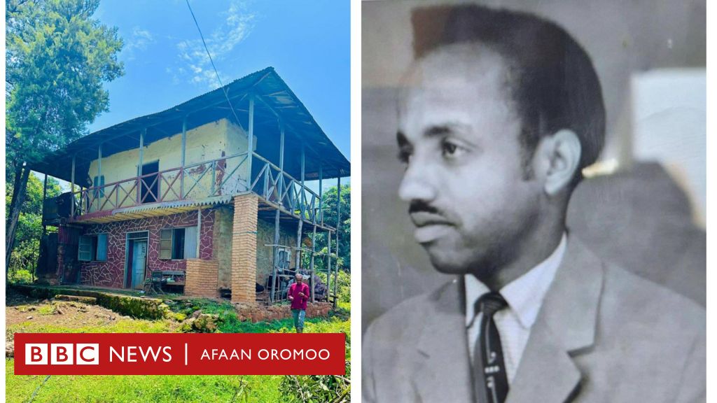 Qonnaan bulaa Jimmaa helikooptara dhunfaa bitachuuf birrii fe'anii ...