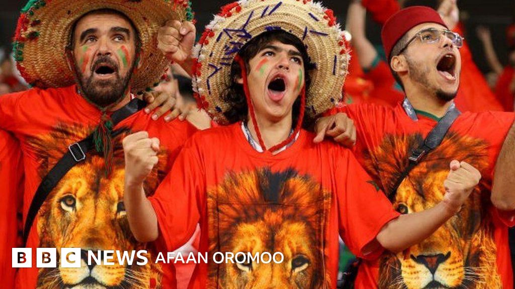 Waancaa Addunyaa 2022: Morookon Afrikaa bakka buutee waancaa nyaattii ...