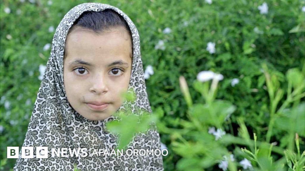 Shittoo qaalii Masriitti hojjatamu duuba saamicha dafqa ijoollee jiru ...