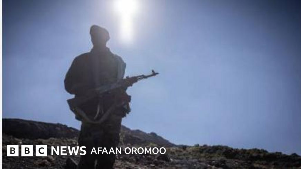 Haala nageenya Oromiyaa bahaaf-gala lammiileetti yaaddoo ta'e - BBC ...