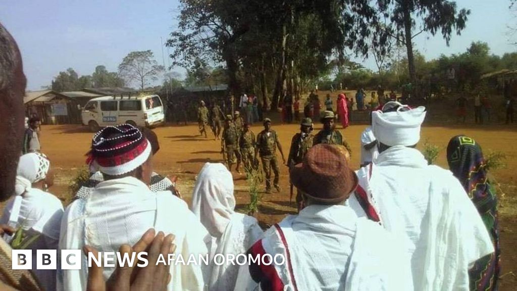 Koree Araaraa: Waraanni Bilisummaa Oromoo simatamuu eegale - BBC News ...