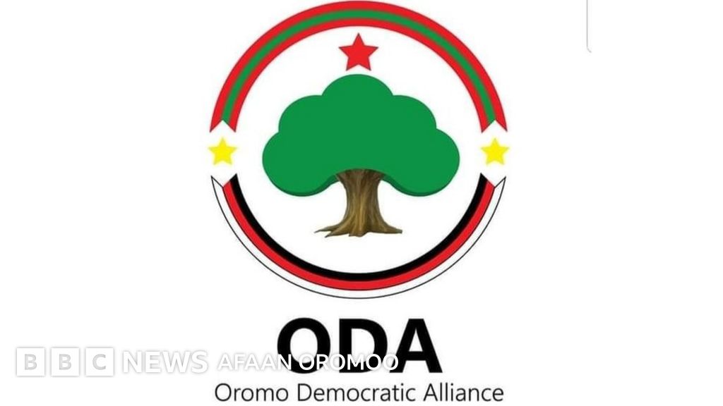 Hayyuu Duree ODA: 'Wanti adda nu godhu Paartii Dhaloota Qubee ta'uudha ...