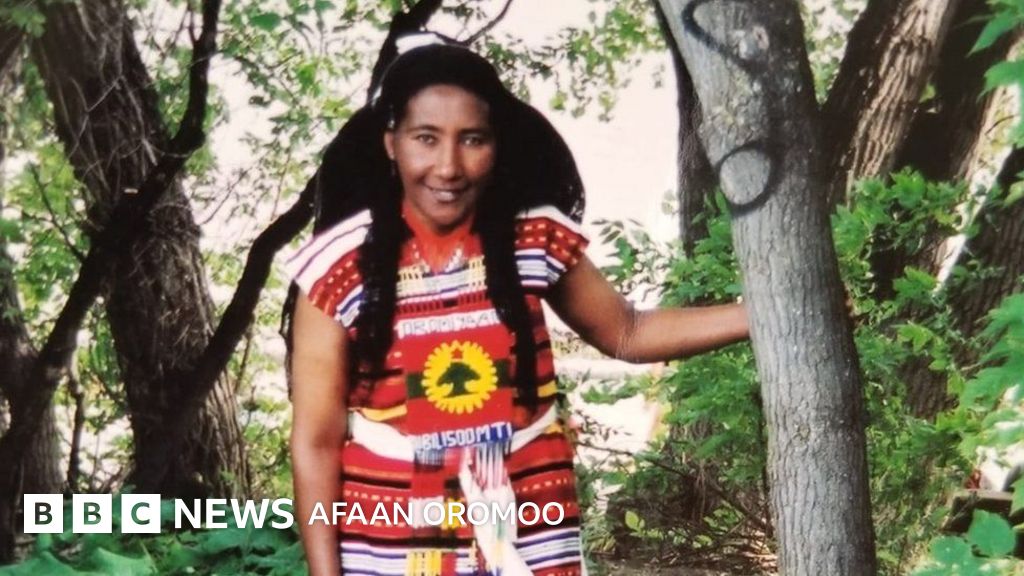 Sirboota qabsoo jaalala fakkeessine sirbaa turre - Shaabee Sheekoo ...