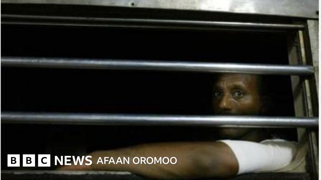 'Qe'eetti yoon deebi'e na ajjeesu'- Qonnaan bulaa Gujii - BBC News ...