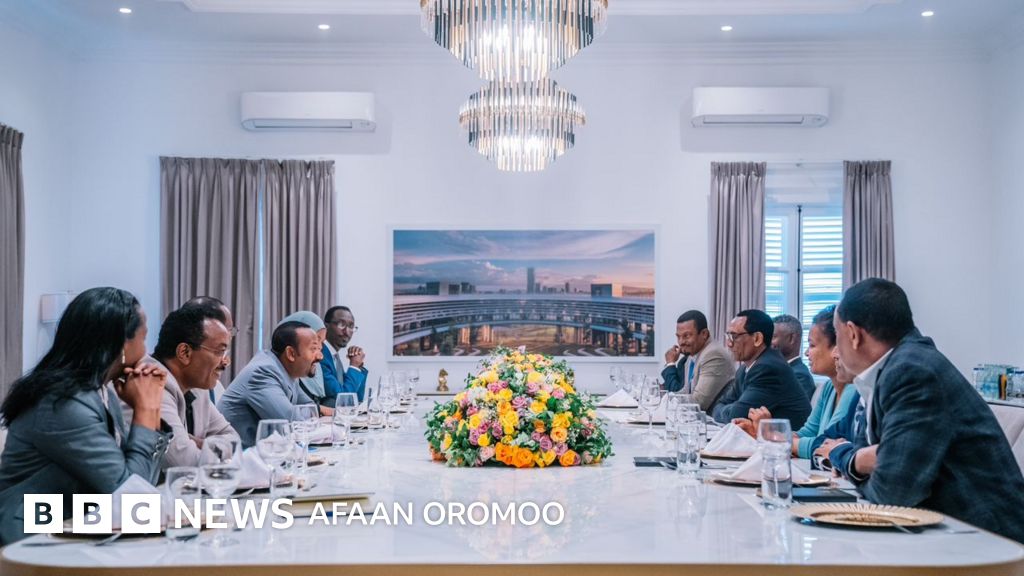 Waa'ee ka'umsa mindaa fi gibira hojjettoota irraa hir'isuu MM Abiy maal ...