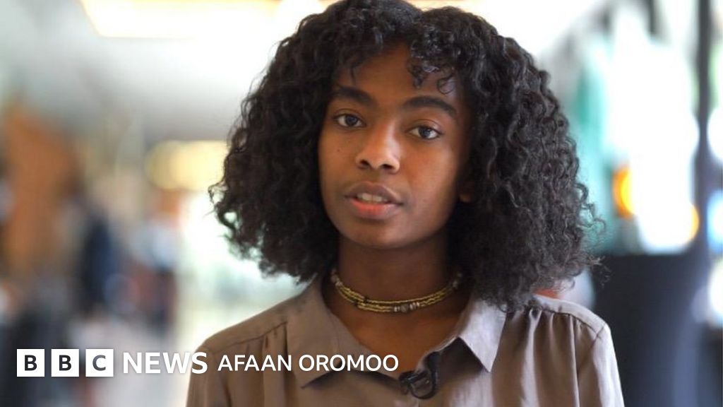 Shamarree hojii qulqulleessummaa irraa hanga dhaabbata faayaa mataashee ...