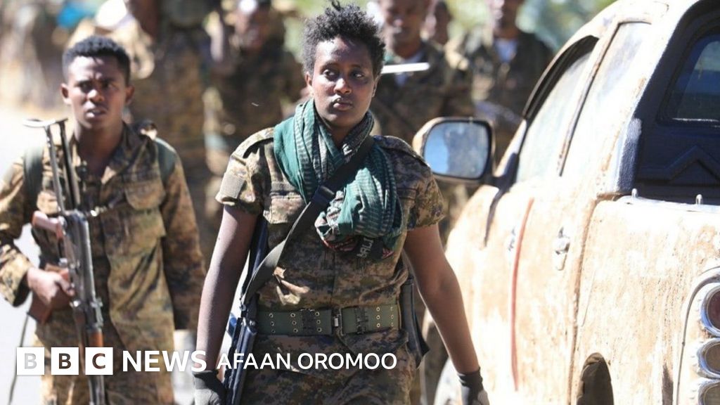 Waraana Tigraay: Xumurri waraana Kaaba Itoophiyaa maal ta'uu danda'a ...