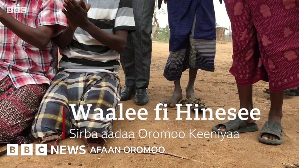 Waalee fi Hinesee: Sirba aadaa Oromoo Keeniyaa - BBC News Afaan Oromoo