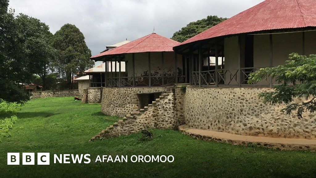 Kunuunsa Hambaalee: "Masaraawwan Abbaa Jifaar fi Kumsaa Morodaa ...