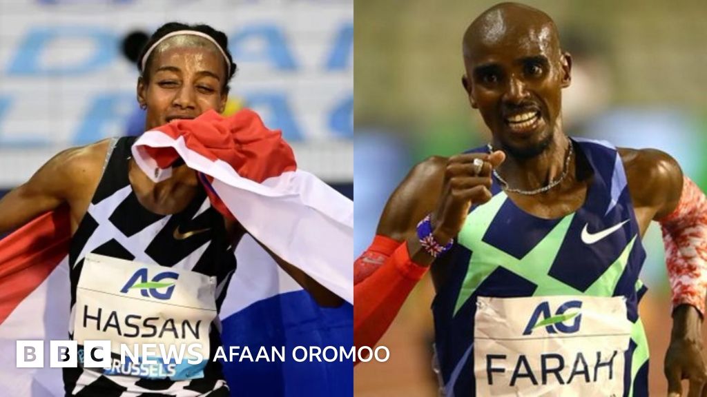 Atileetiksii: Siifan Hasanii fi Moo Faraan Biraasilsitti rikaardii ...