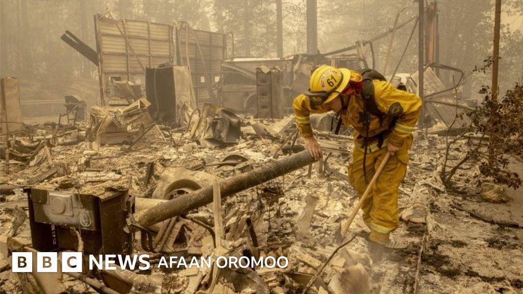US'tti ibidda lafa heektaara miliyoonotaan mancaaseen namootni 30 ol du ...