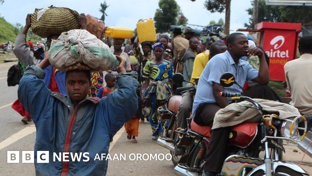 Ummati Koongoo warra Baha G/galeessaa caalaa gidirfama - BBC News Afaan ...