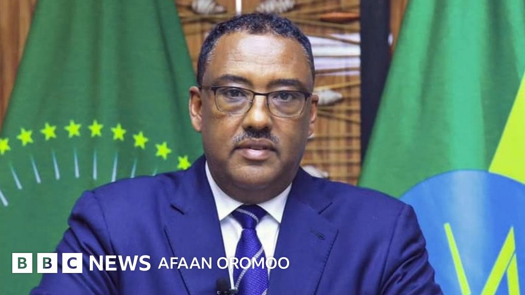 'Maqaa deggersaan meeshaa waraanaa galchuuf yaalamaa jira'-Ministeera ...