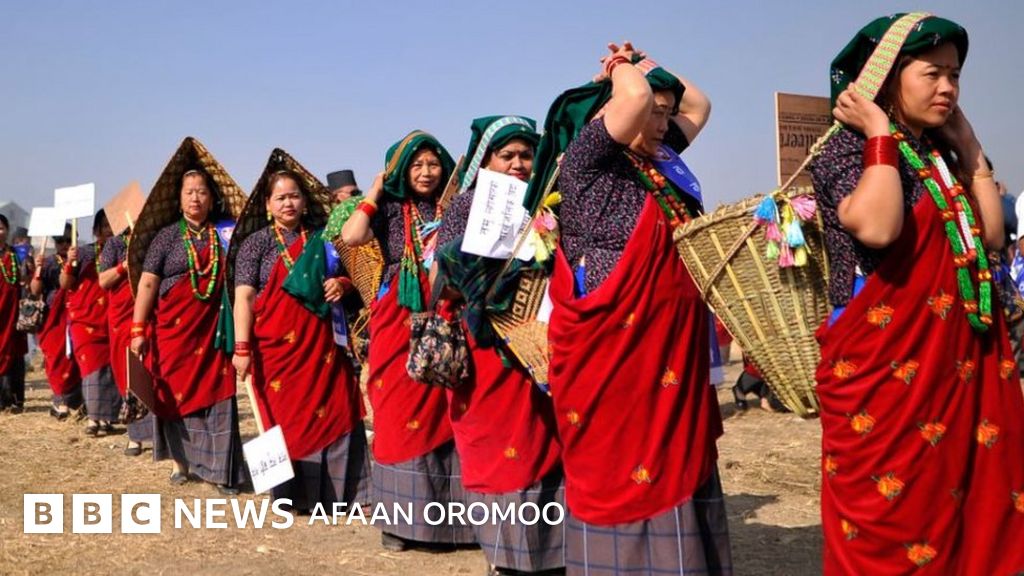 Dubartoonni maaliif dhiirota caalaa umrii dheeraa jiraatu? - BBC News ...