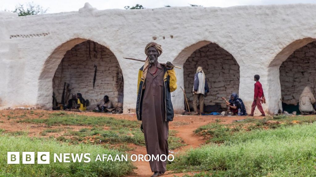 Waa'ee Dirree Sheek Huseen (Anaajinaa) wantoota beekuu qabdan torba ...