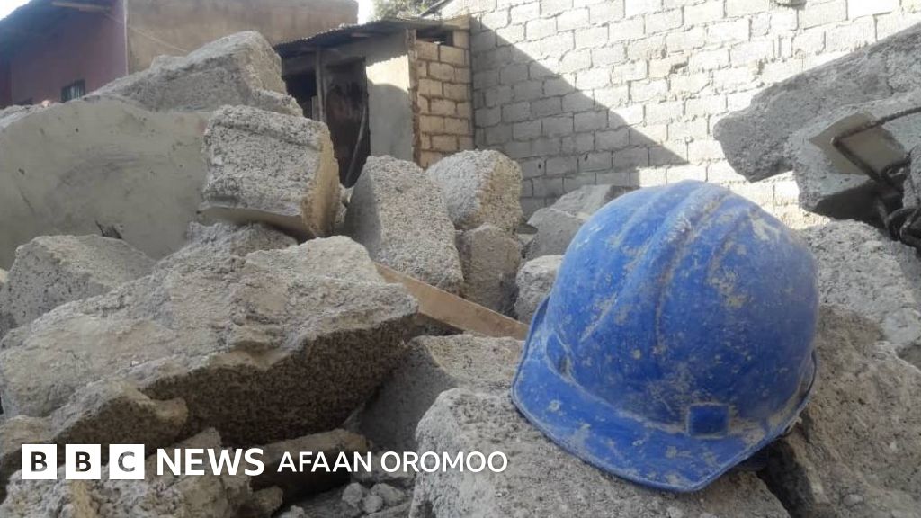 Ijaarsi gamoo Adaamaatti of eeggannoo malee ijaaramaa ture namoota afur ...