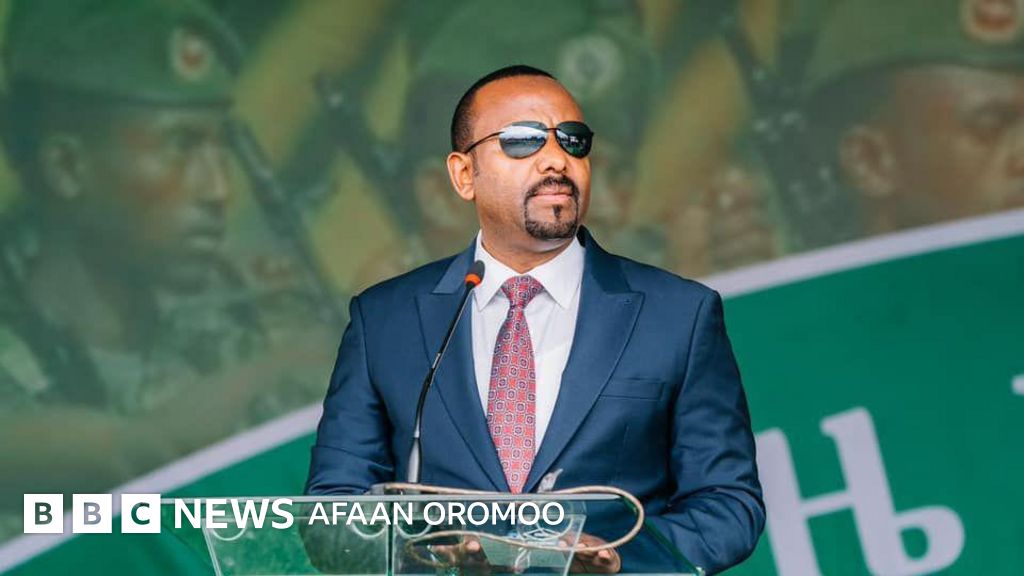 'Itoophiyaan biyya kamuu weerartee hinbeektu, ammas hin weerartu' - MM ...