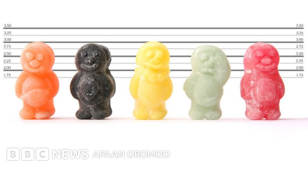 Sammuu kee qori - Hiibboo 5 - BBC News Afaan Oromoo