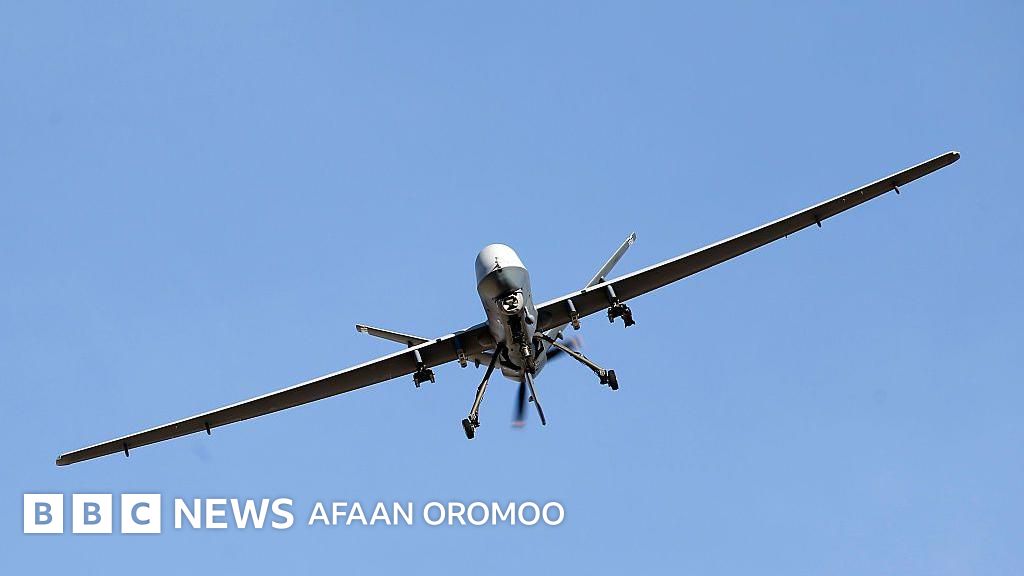 Haleellaa diroonii Jibuutiin daangaa Itoophiyaarratti raawwatte maal ...