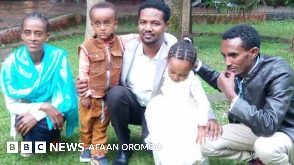 Magaalaan Amboo maatii warra qabsoo keessatti wareegamanii deggeraan ...