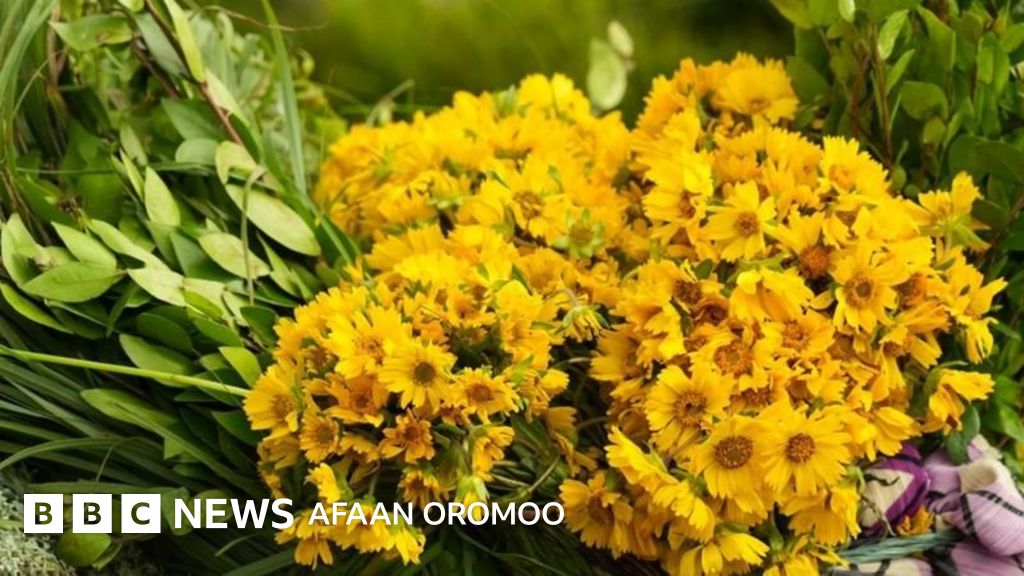 Bara haaraa Itoophiyaa 2015 suuraaleedha - BBC News Afaan Oromoo