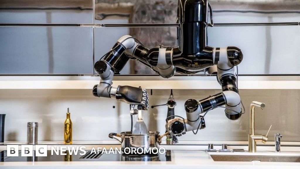 Roobootiin nyaata mi'aawaa akka fedha keessaniitti qopheessu hojii ...