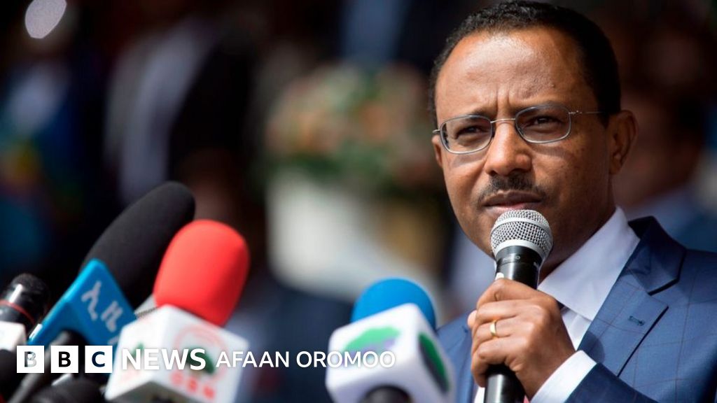 Lammaa Magarsaa: ''Of ta'anii argamuu abbaa kiyyarraan baradhe'' - BBC ...