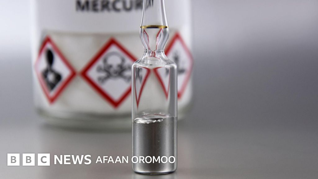 Himatamtoonni albuuda Meerkurii seeraan ala daddabarsan hidhaan ...