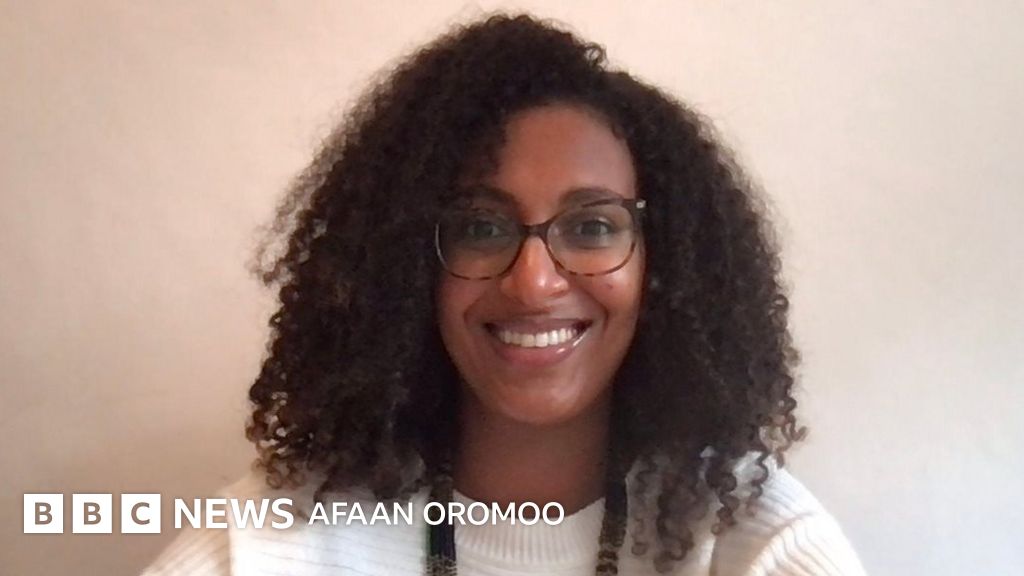 Shamarree kororimaa, abasuudaa fi mi'eessituuwwan biroo zayita ...