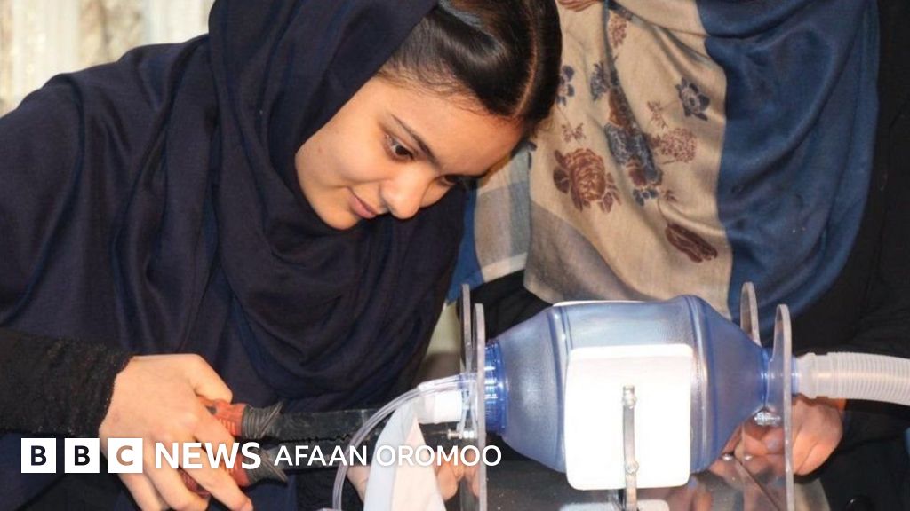 Koronaavaayiras: Shamarran Afgaan qaama konkolaataarraa ventiletara ...