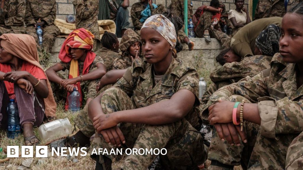 Waraana Tigraay: Waraanaa Itoophiyaa keessaatiin kumaatamni du'uun ...