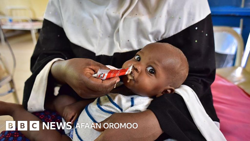 Itoophiyaatti ''Pilaampileetii'' bituu fi gurguruun maaliif adabsiisa ...