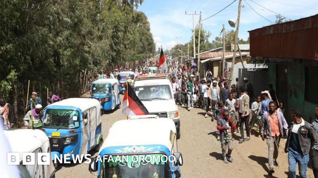 Darraa: Aanaan Oromiyaa oomisha xaafiin beekamtu akkamiin wiirtuu ...