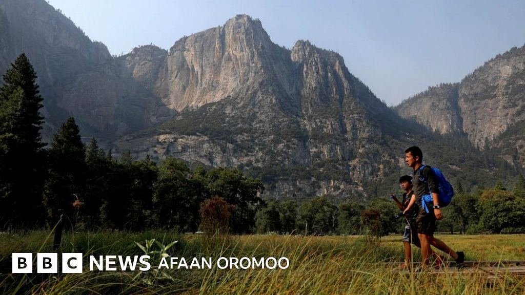 Paarkii Yoosemitiitti dargaggoon utuu ofee ykn 'selfie' ka'uu kufee du ...