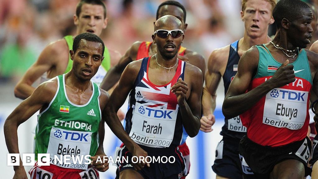 Qananiisaa waliin Landanitti ji'a dhufu falmachuuf qophiirra kan ture ...