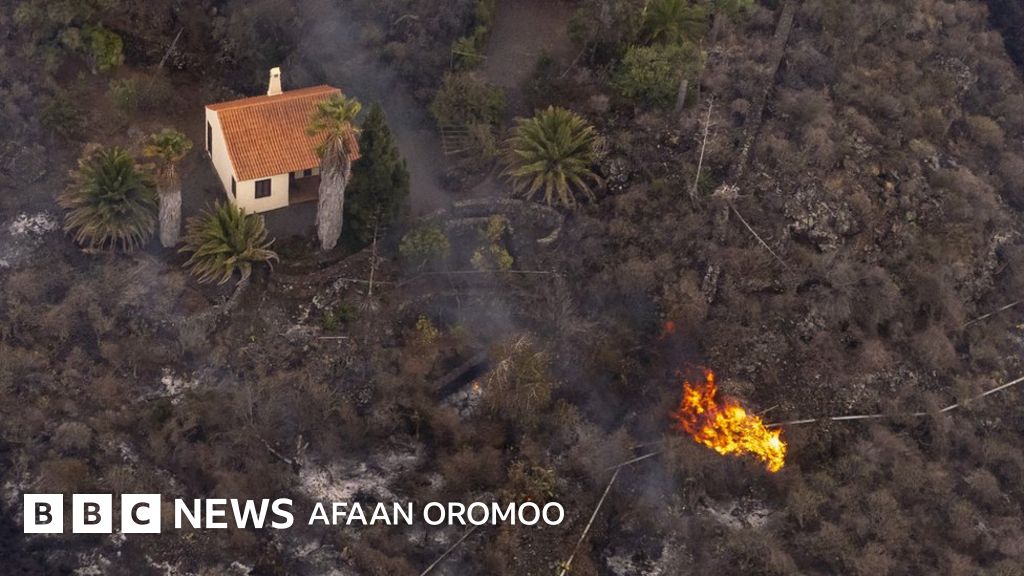 Volkaanoo Odola Kaanaarii: Manni tokkittiin laavaa odolarra jige ...