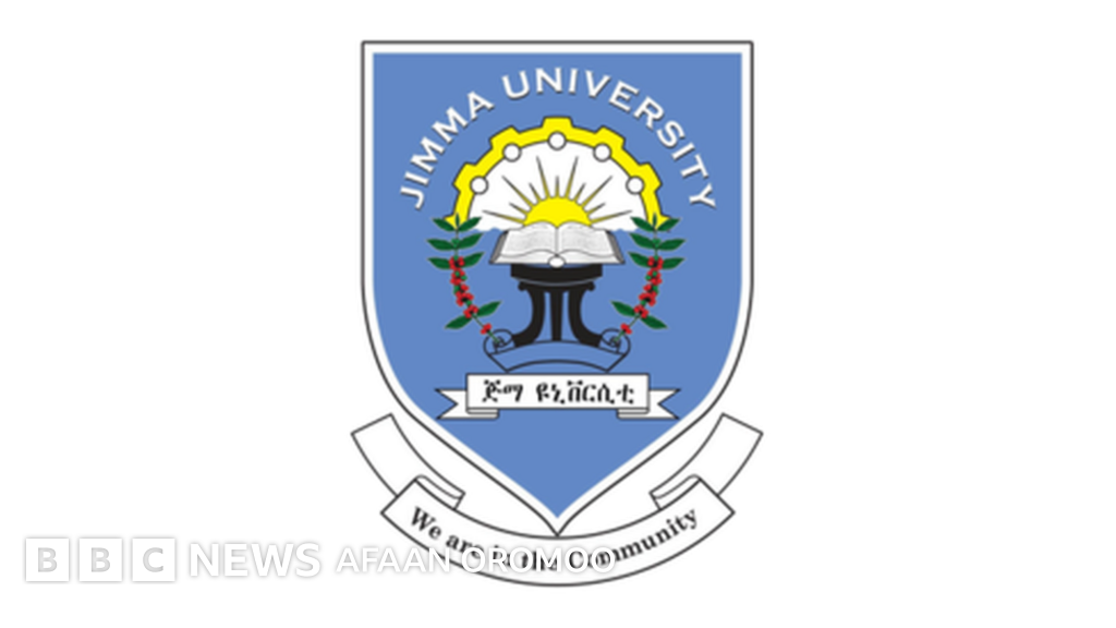 Barsiisonni Yunvarsiitii Jimmaa hidhaman 'yakka mootummaa fonqolchuun ...