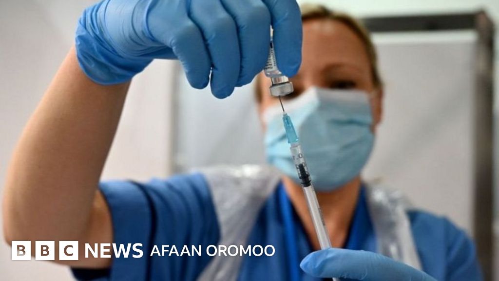 Koroonaavaayirasii: Talaallii Covid-19 gosa lamaa osoo fudhannee maal taana? - BBC News Afaan Oromoo