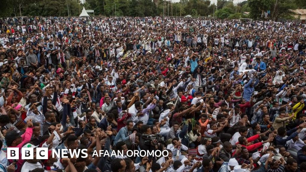 Nageenya lammiilee eeguun dirqama eenyuuti? - BBC News Afaan Oromoo