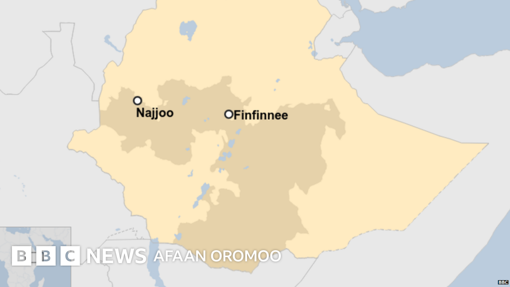 Ajjeechaa Najjoo: 'Abbaa malee dhagaa baadhee guddiseen deebisee ...