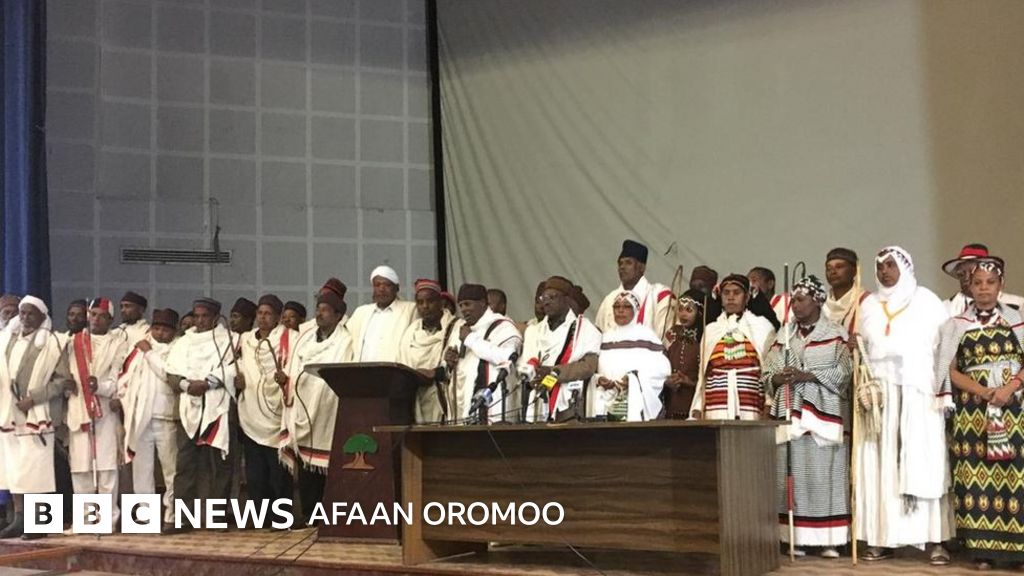 Obbo Daawud Ibsaa: Har’arraa eegalee itti gaafatamni WBO abbootii gadaa ...
