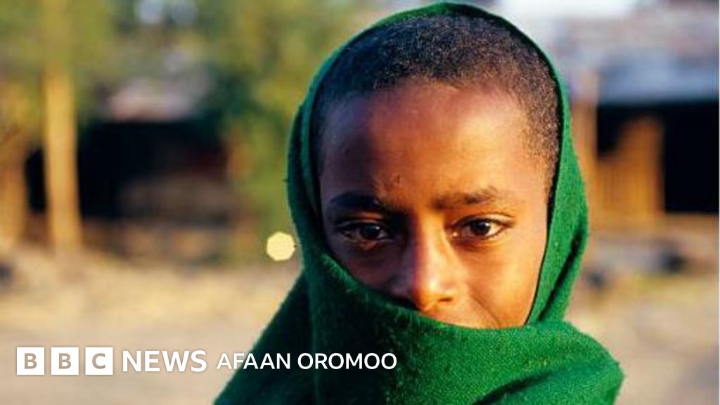 Tibbana Itoophiyaatti qorri maaliif hammaate? - BBC News Afaan Oromoo