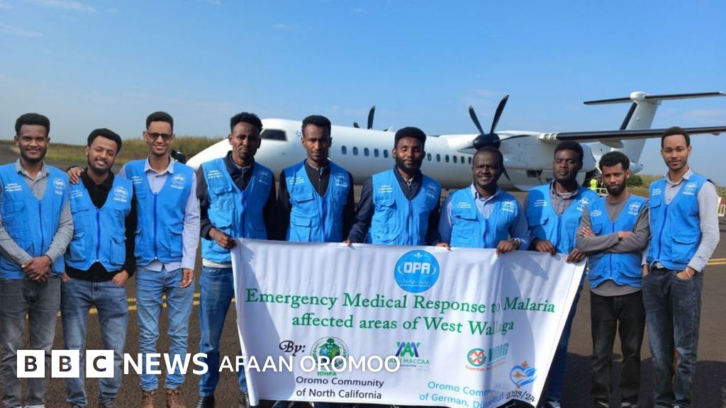 "Weerarri dhibee busaa Lixa Oromiyaatti hammaate malee fooyya’iinsa hin ...