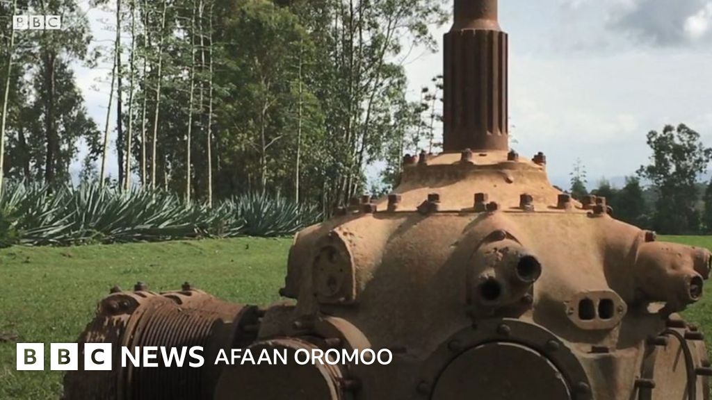 Leenca Gurraacha: Xaayyaarota seena qabeessa Oromiyaan dagatte - BBC ...