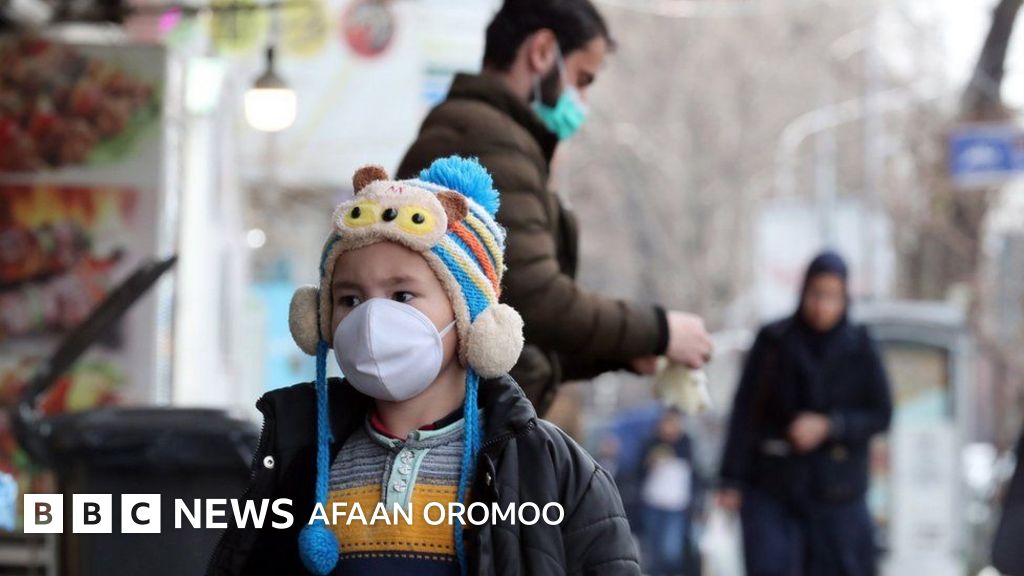 Lammileen Iraan 600 ol alkooliin Covid-19 irraa nu fayyisa jechuun ...