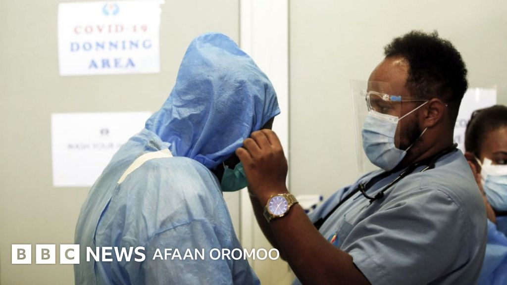 Covid-19: Ogeeyyii fayyaa Itoophiyaa 'waan guddaa eeganii waa xiqqoollee otoo hin argatiin hafan ...